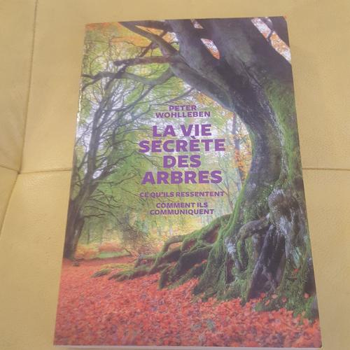La vie secrète des arbres ce qu'ils ressentent comment ils communiquent ...