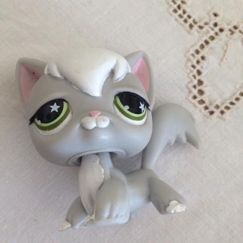 Petshop Chat Angora LPS N°954 Hasbro | Rakuten