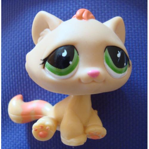 Petshop Chat de Gouttière LPS N° 706 - 791 Hasbro | Rakuten