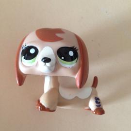 Petshop Chien Teckel LPS N° 2035 Hasbro | Rakuten